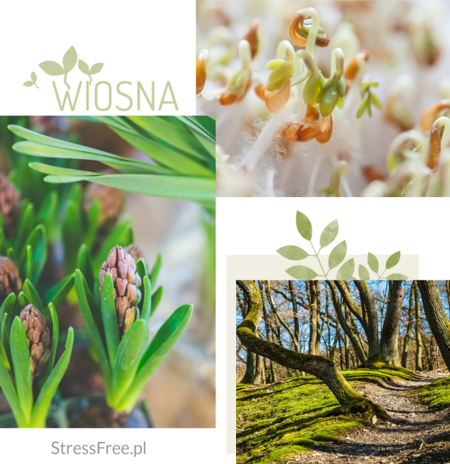 Wiosna nadchodzi! Wyjdź jej na spotkanie! - StressFree.pl